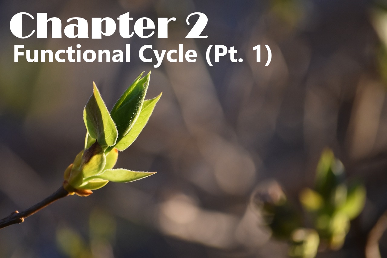 Time Develops from the Life Process - למידה מתנועת החיים